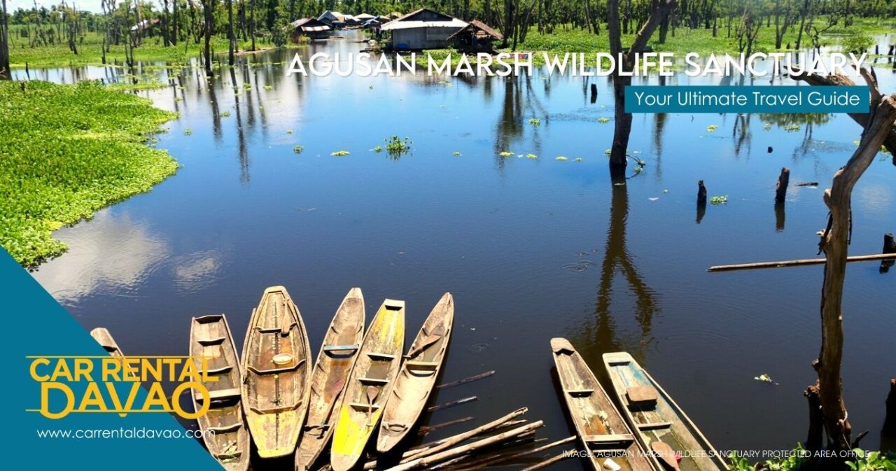 Into the Vast Wetland of Agusan Marsh Wildlife Sanctuary