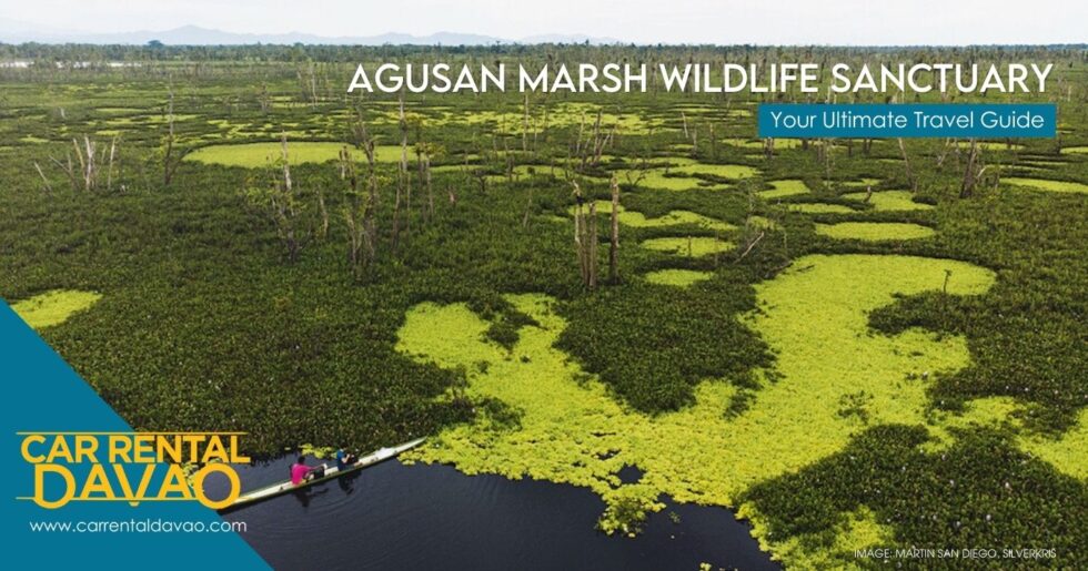 Into the Vast Wetland of Agusan Marsh Wildlife Sanctuary