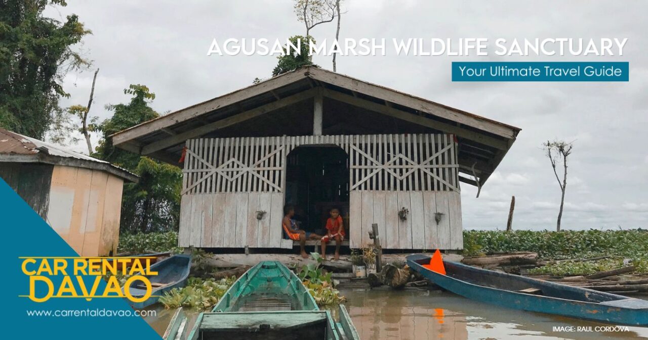 Into the Vast Wetland of Agusan Marsh Wildlife Sanctuary